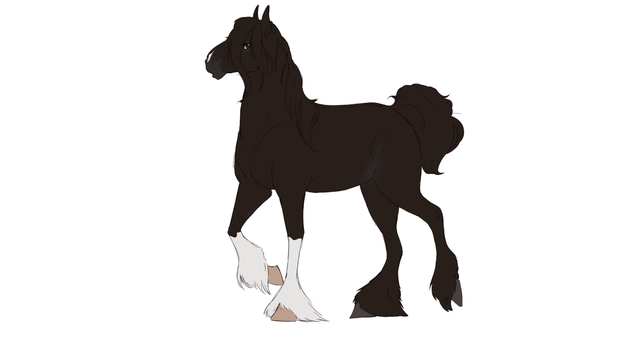 Teddy Cobs - Gallery :: Adopting Spaghetti!